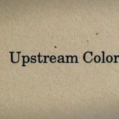 Upstream color – Fin de la historia