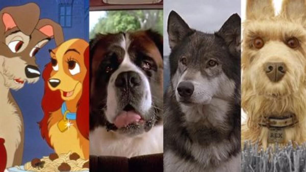 Las 10 mejores películas de perros